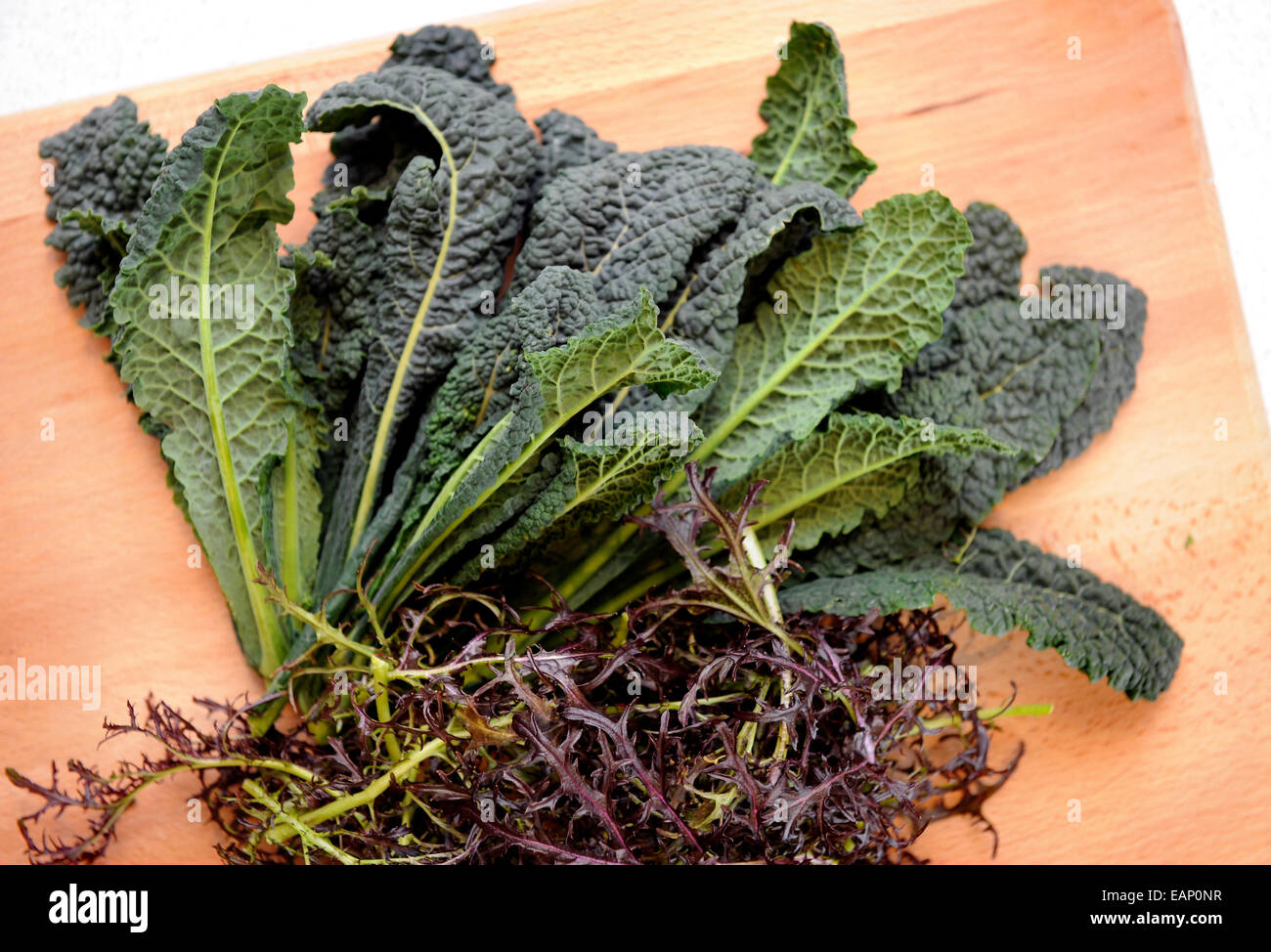 Red frill mustard hi-res stock photography and images - Alamy