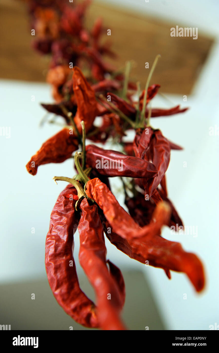 Dried chillies hanging from a beam in a kitchen Stock Photo - Alamy