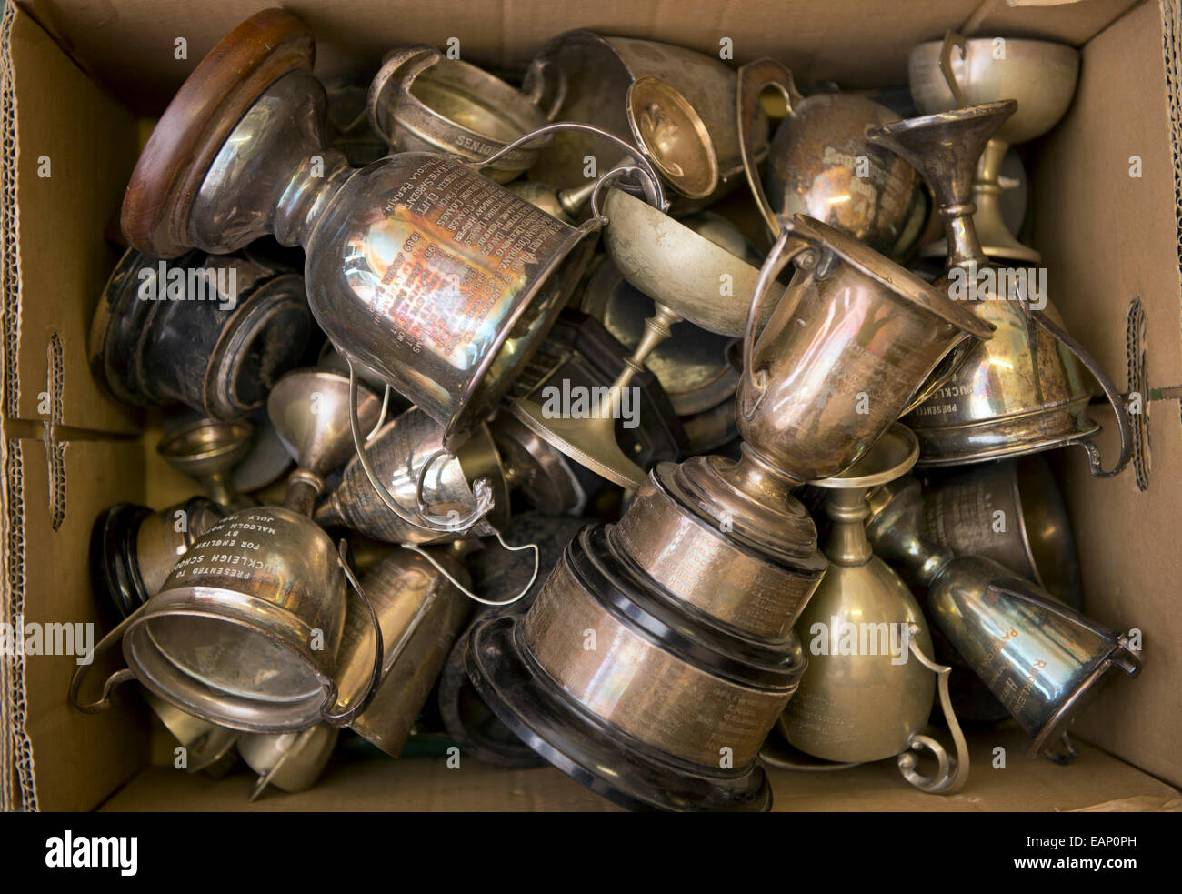 A cardboard box full of old school cups and trophies UK Stock Photo - Alamy