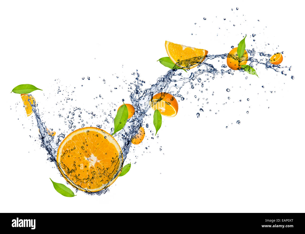 Fresh oranges in water splash, isolated on white background Stock Photo ...