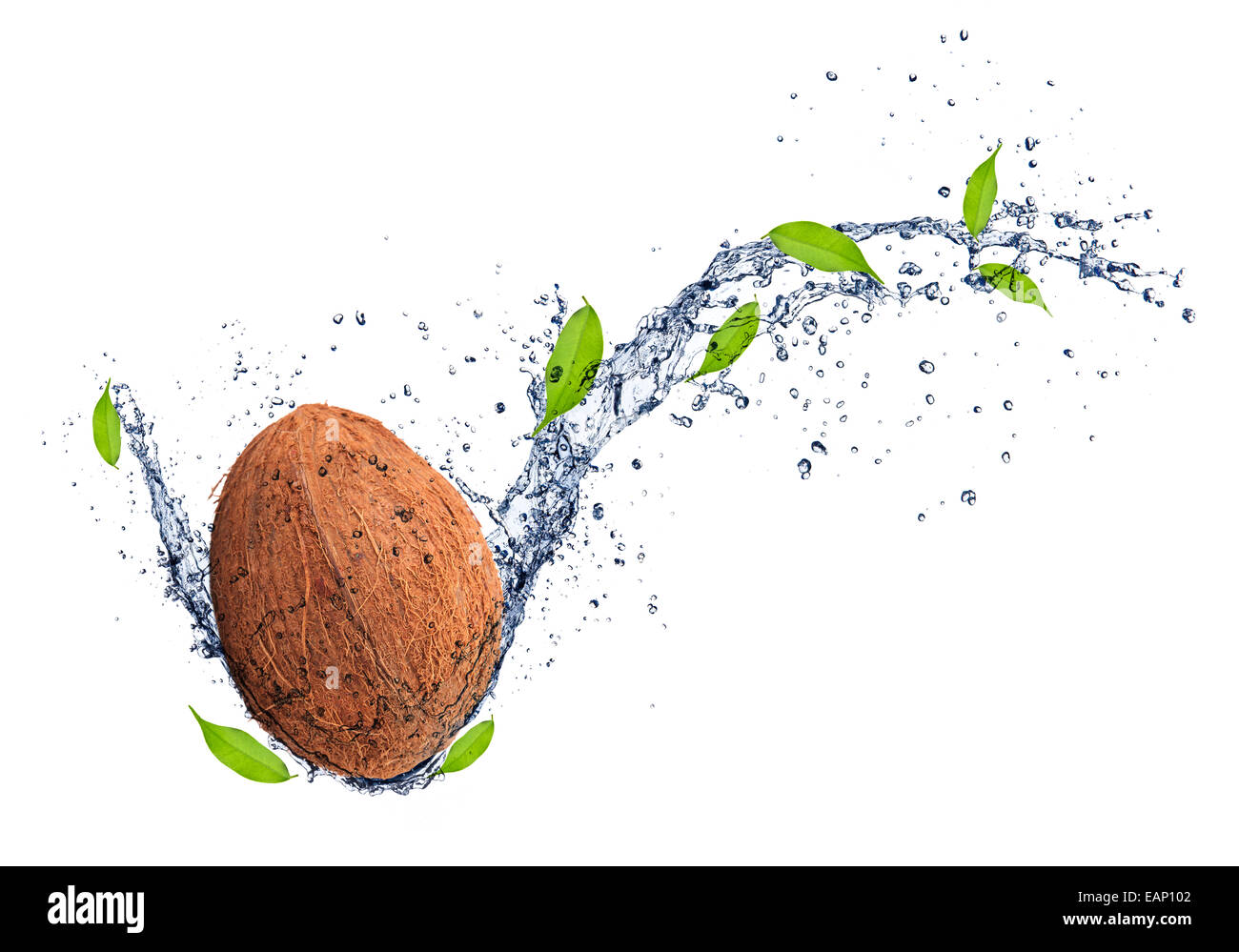 Coconut in water splash, isolated on white background Stock Photo - Alamy