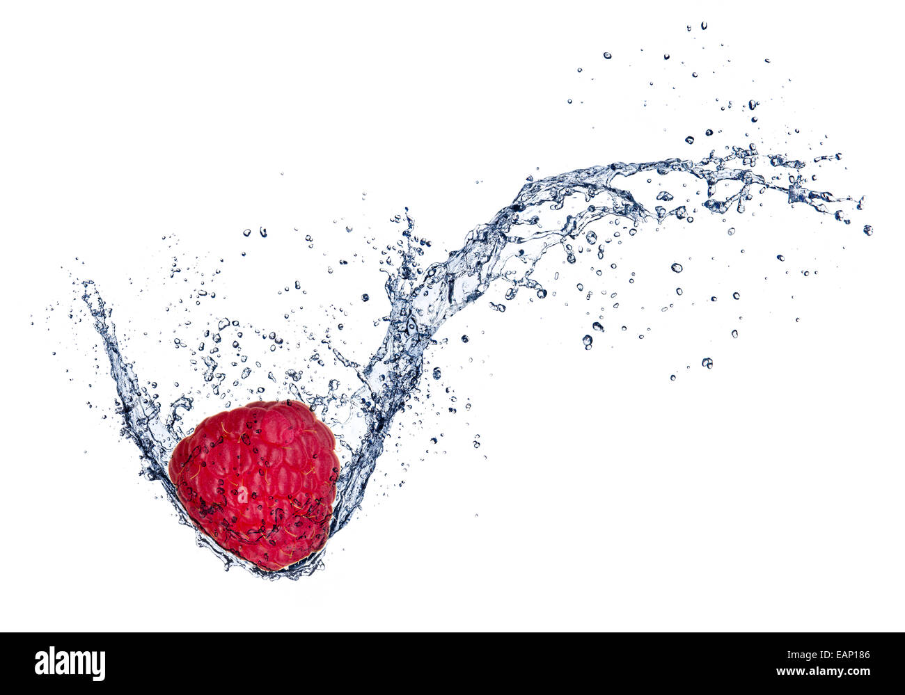 Fresh raspberry in water splash, isolated on white background Stock ...