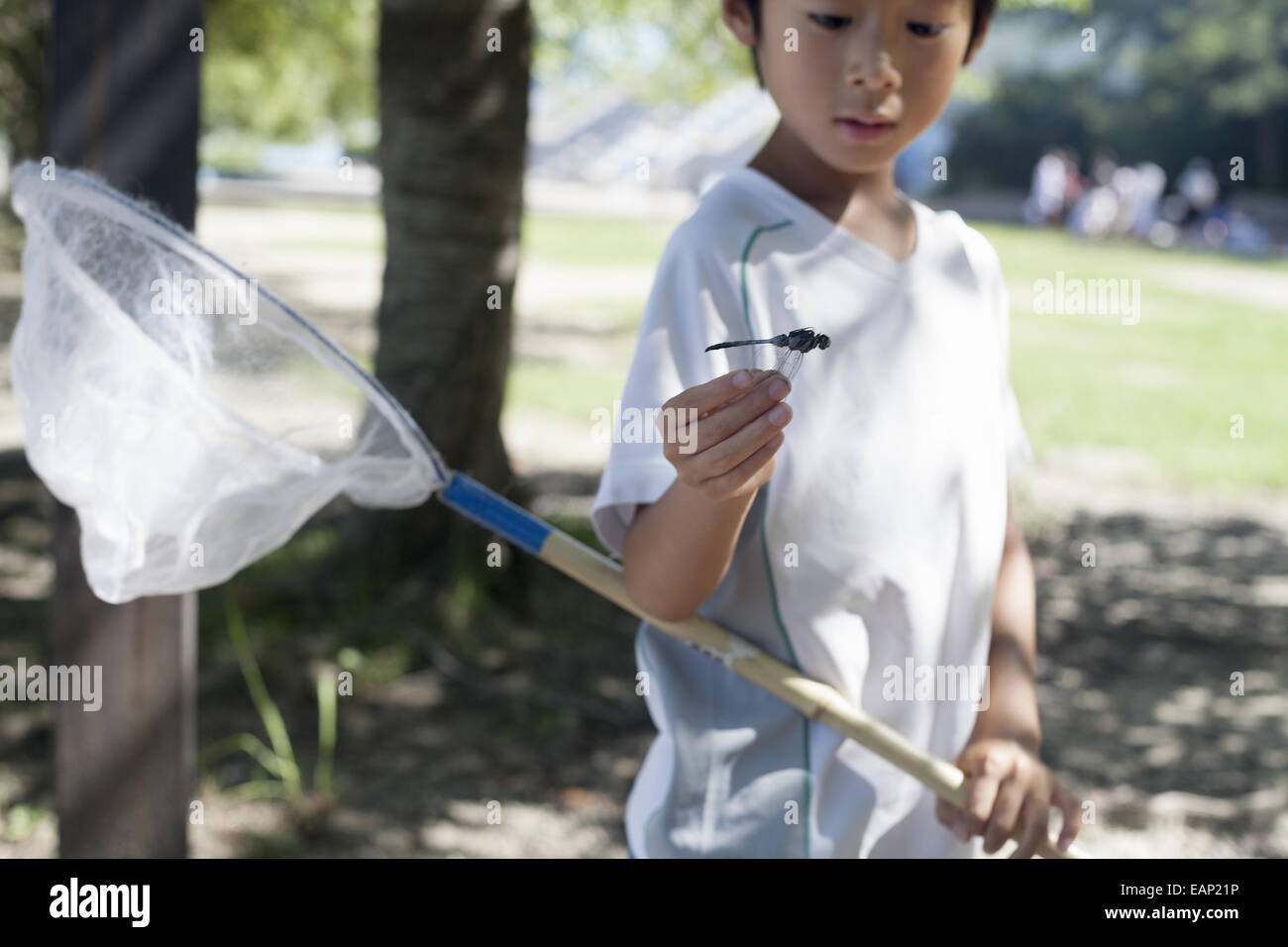 Young boy exploring nature hi-res stock photography and images - Alamy