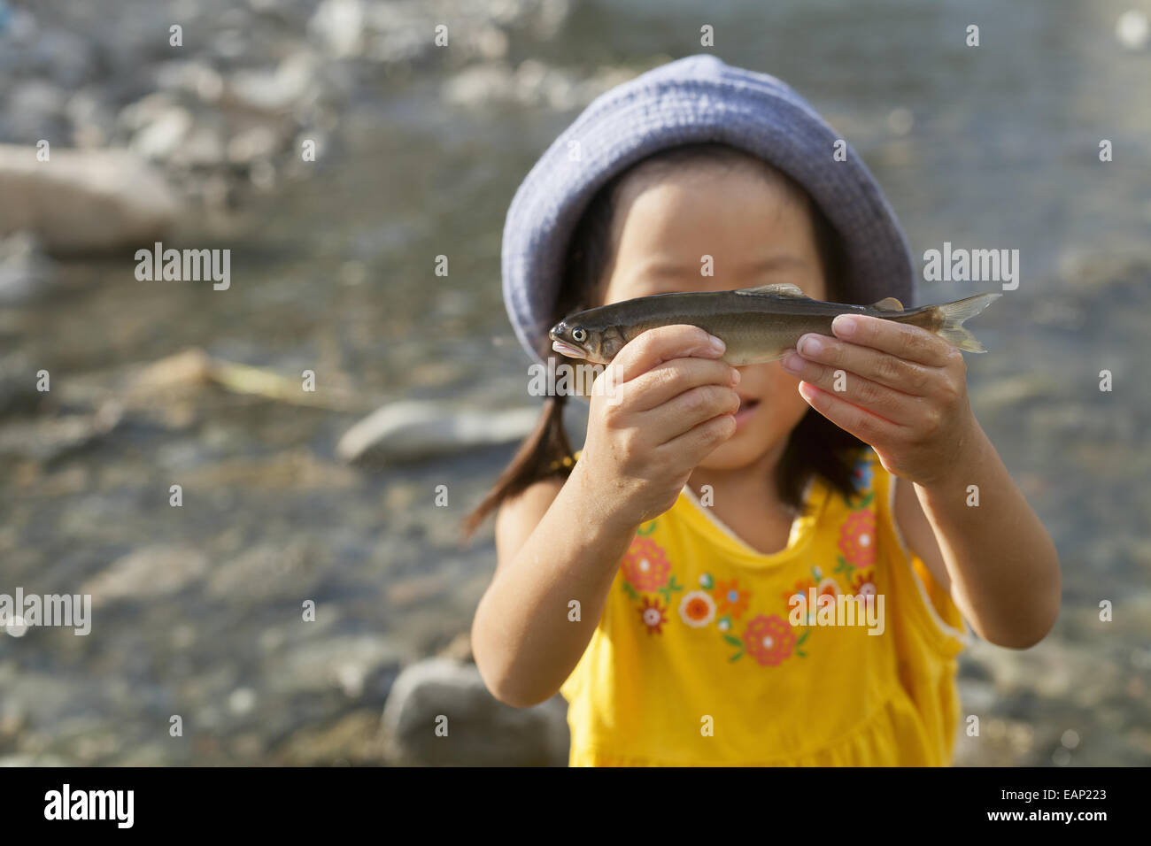 Fish wearing hat hi-res stock photography and images - Alamy