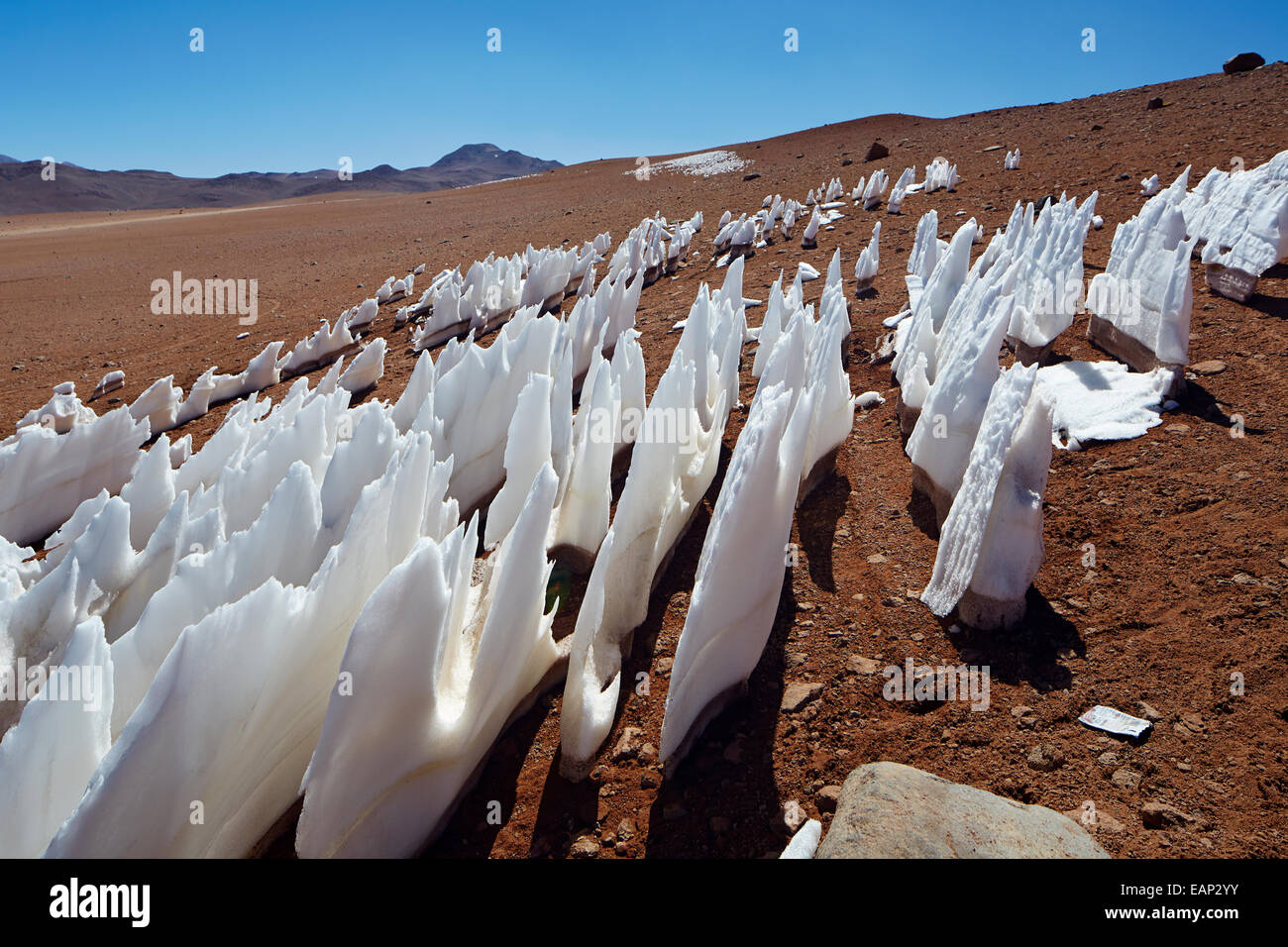 Penitent snow in the high Altiplano in Bolivia Stock Photo - Alamy
