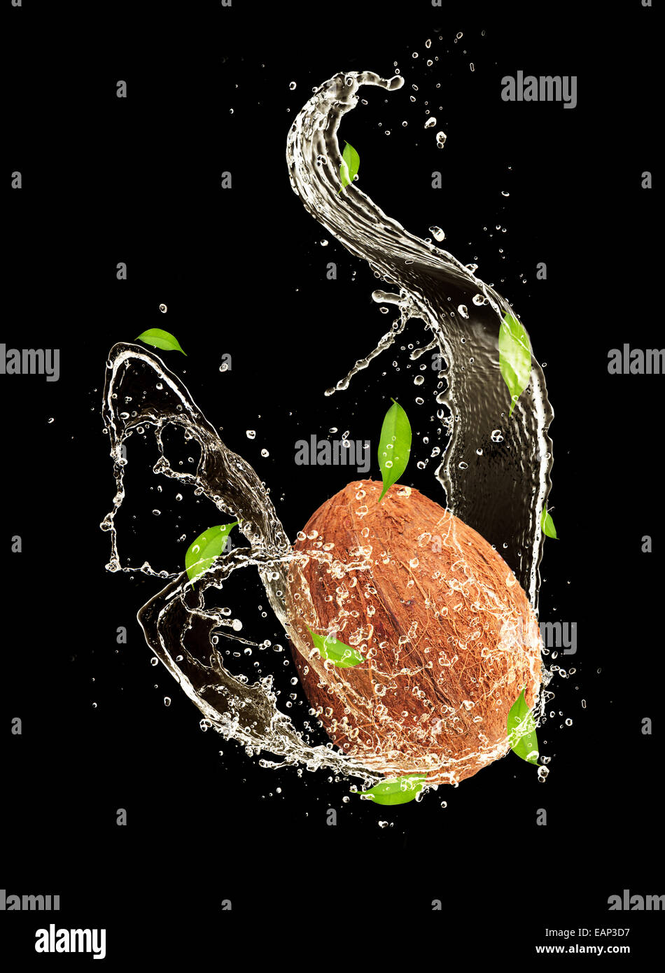 Coconut in water splash, isolated on black background Stock Photo - Alamy