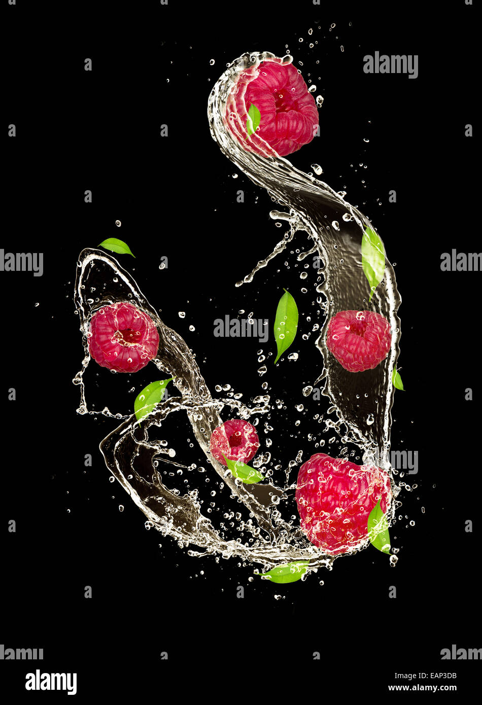 Raspberries in water splash, isolated on black background Stock Photo ...