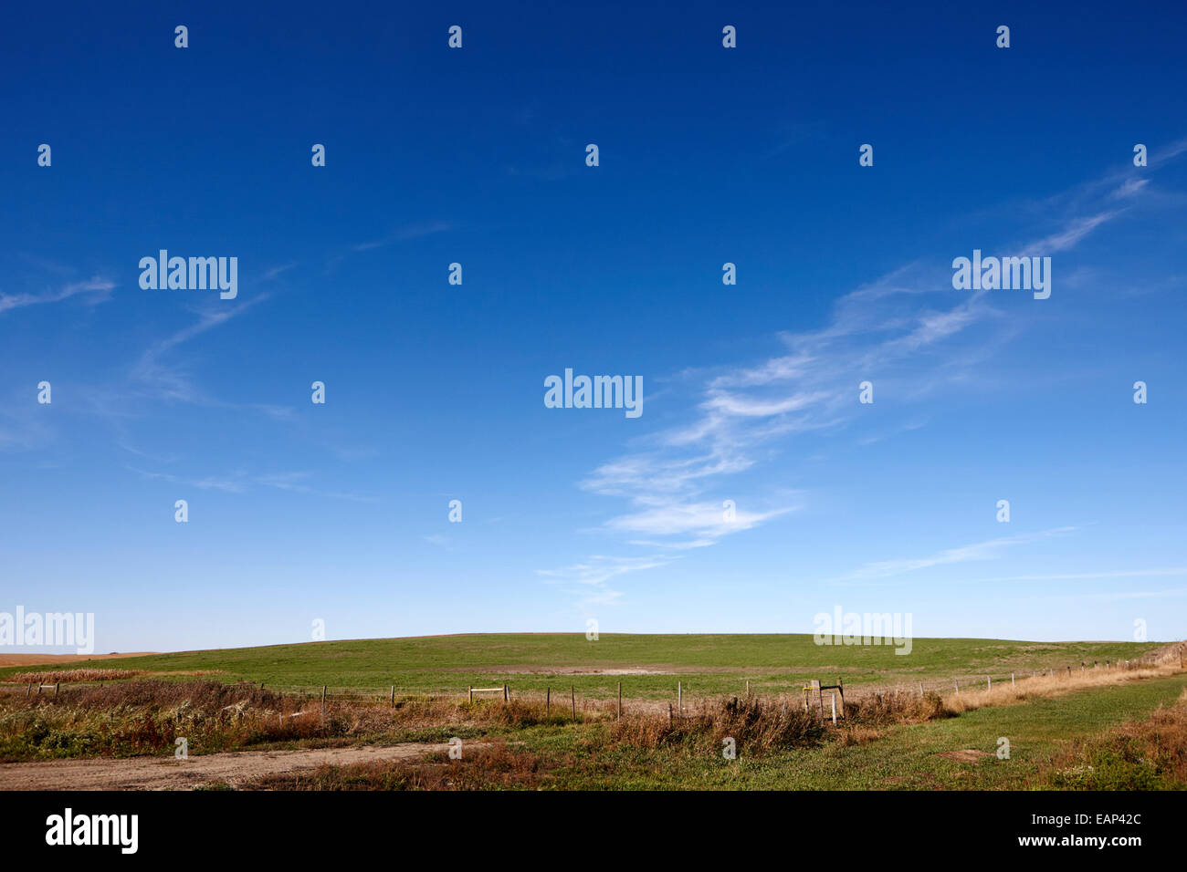 blue sky above prairie fields Saskatchewan Canada Stock Photo - Alamy