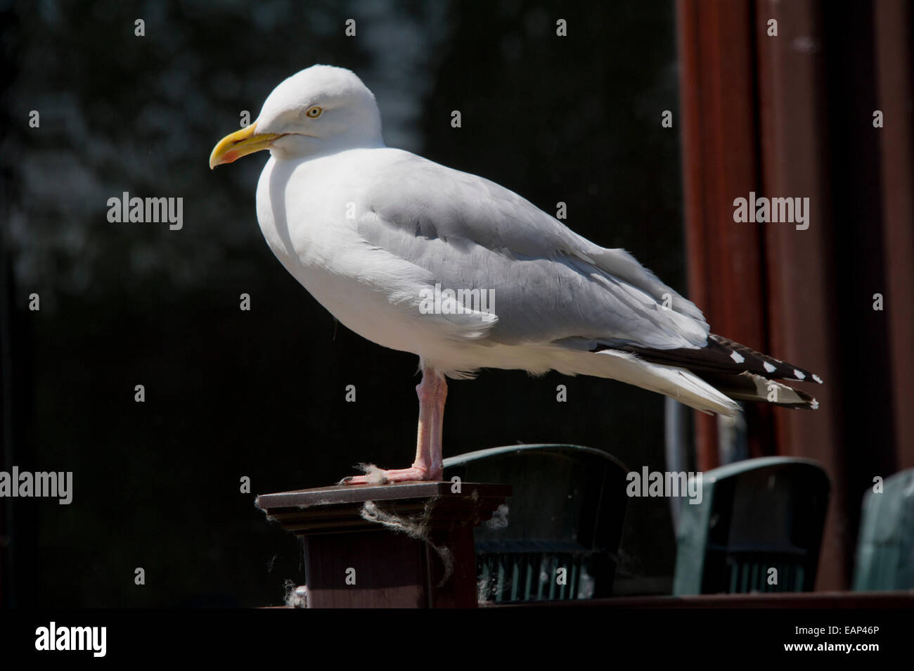 Butlins Minehead Resort.Holiday destination on the beach in Somerset ...