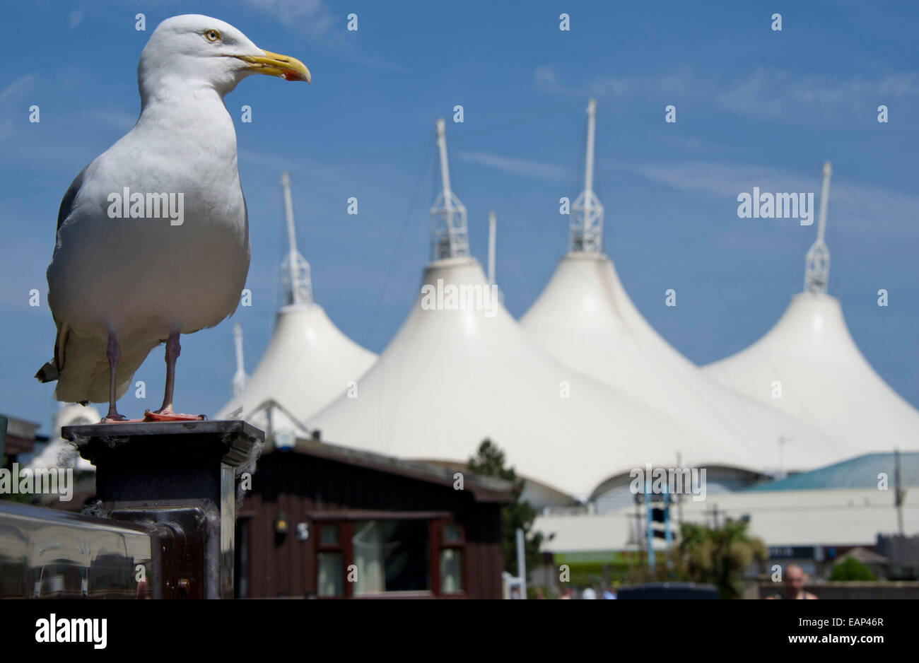 Butlins Minehead Resort.Holiday destination on the beach in Somerset ...