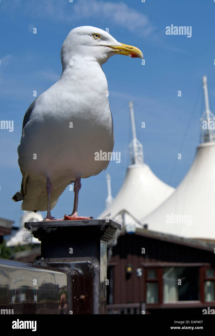 Butlins Minehead Resort.Holiday destination on the beach in Somerset ...