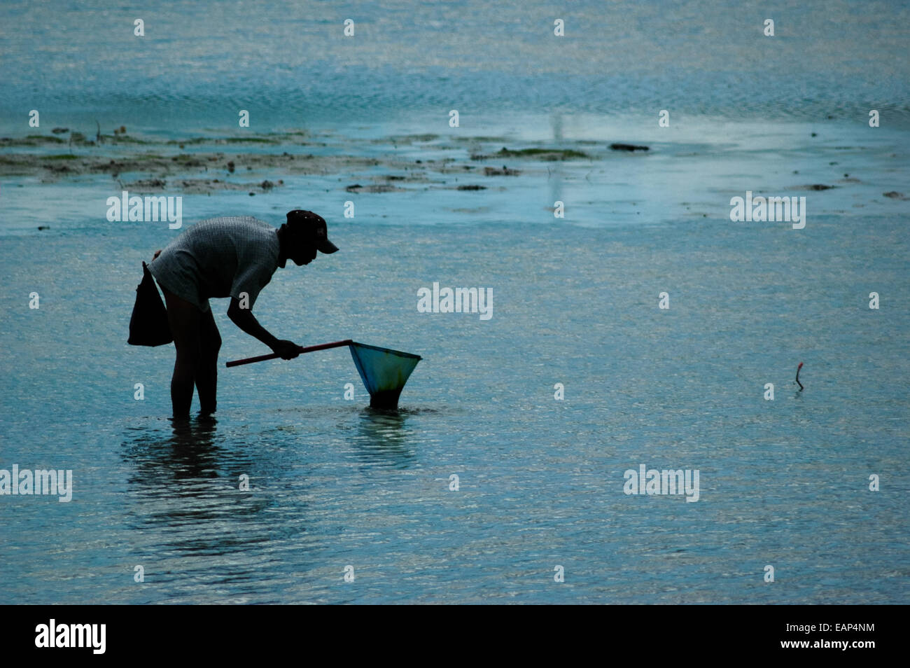 Silhouette of man fishing on a muddy pond near the area of Soekarno ...