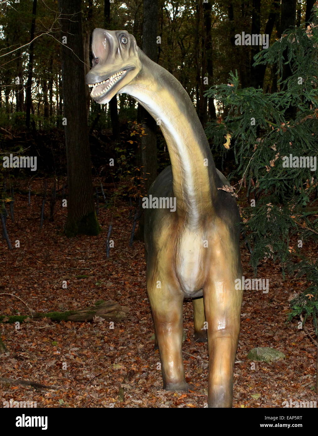 Europasaurus hi-res stock photography and images - Alamy