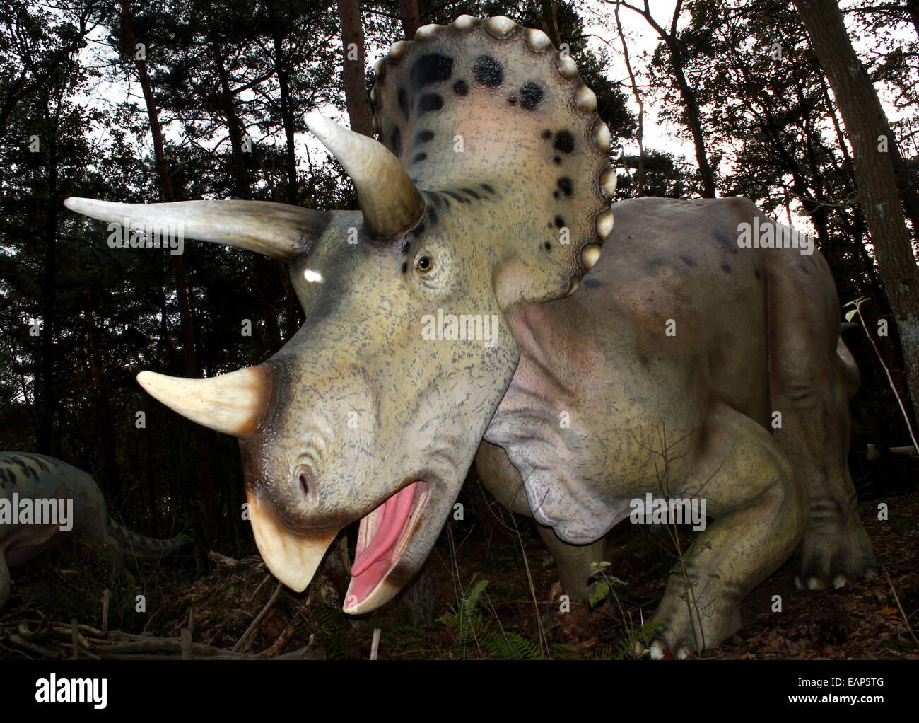 Life size model dinosaur triceratops hi-res stock photography and ...