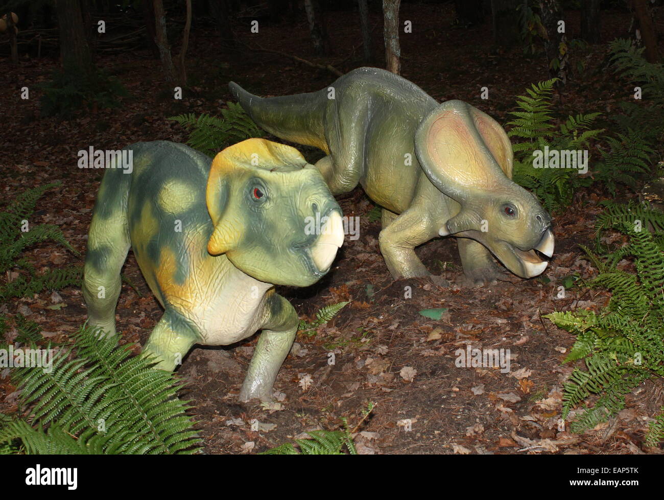 Leptoceratops together with Protoceratops (in the back), small ...