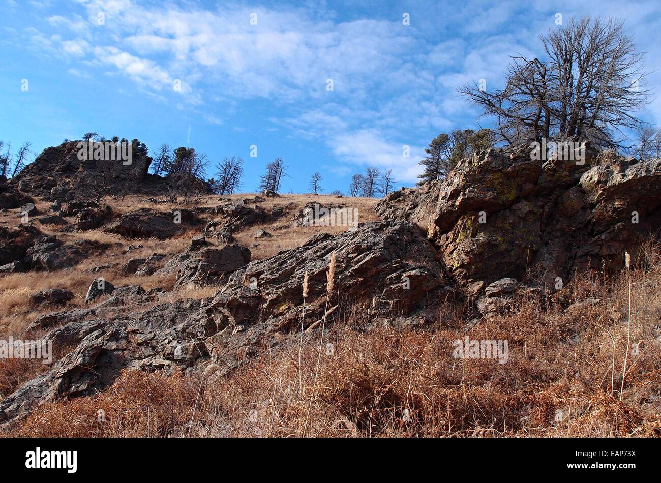 Mongolian nature hi-res stock photography and images - Alamy