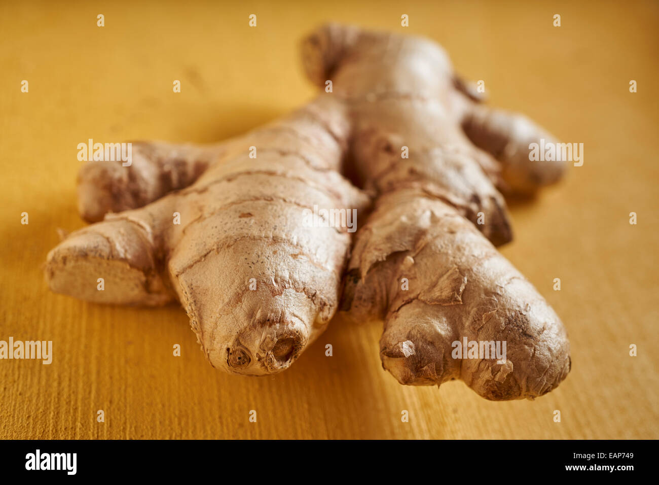 fresh, whole ginger root Stock Photo - Alamy fresh, whole ginger root Stock Photo - Alamy