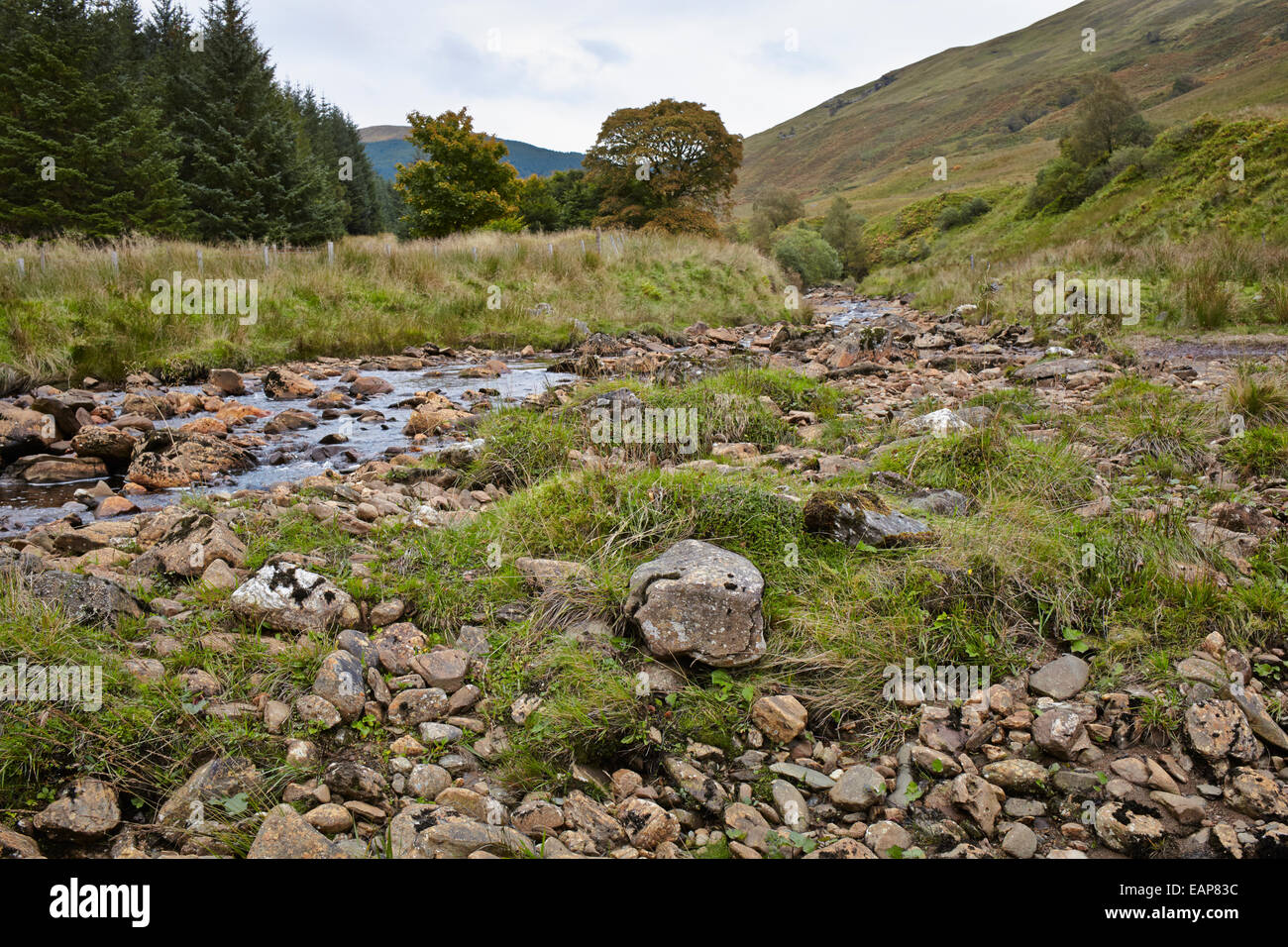 Succoth hi-res stock photography and images - Alamy