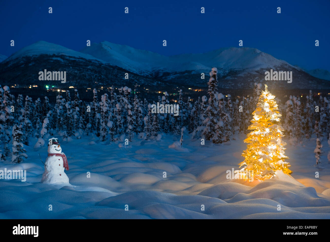 Moon with christmas hat hi-res stock photography and images - Alamy