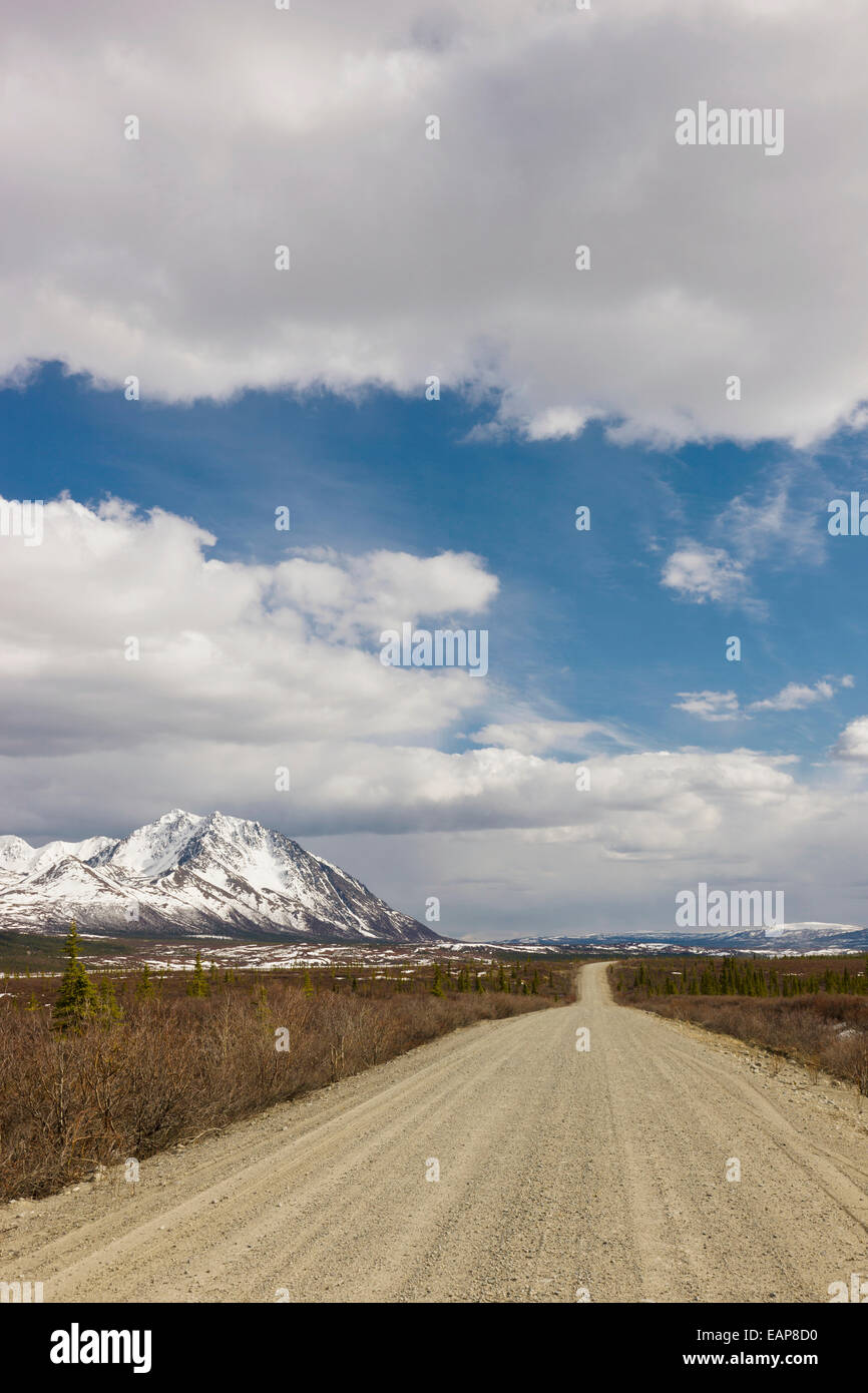 The Denali Highway Bridge Over The Susitna River With Clearwater ...