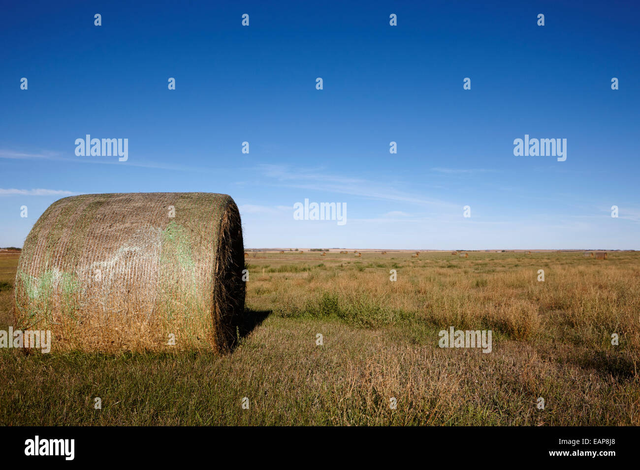 Open prairie hi-res stock photography and images - Alamy