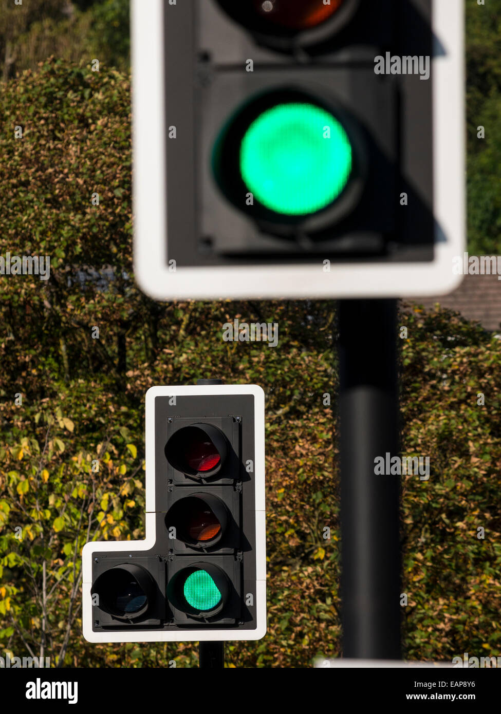 Two traffic lights red and green hi-res stock photography and images ...
