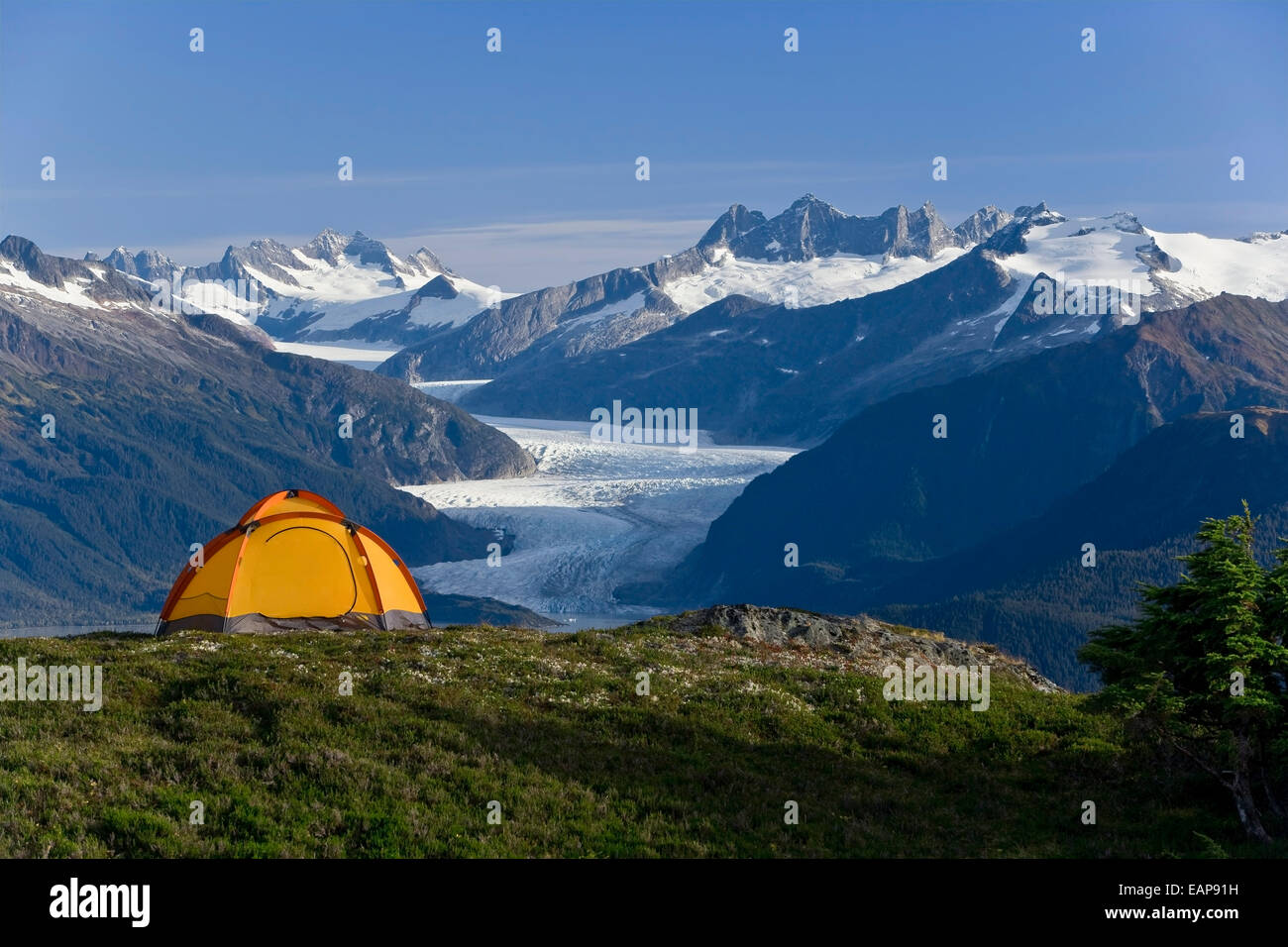 Alaska,Blue Sky,Camp,Coast Mountains,Day Stock Photo - Alamy