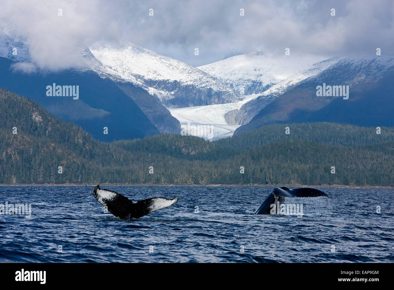 Coast range hi-res stock photography and images - Alamy