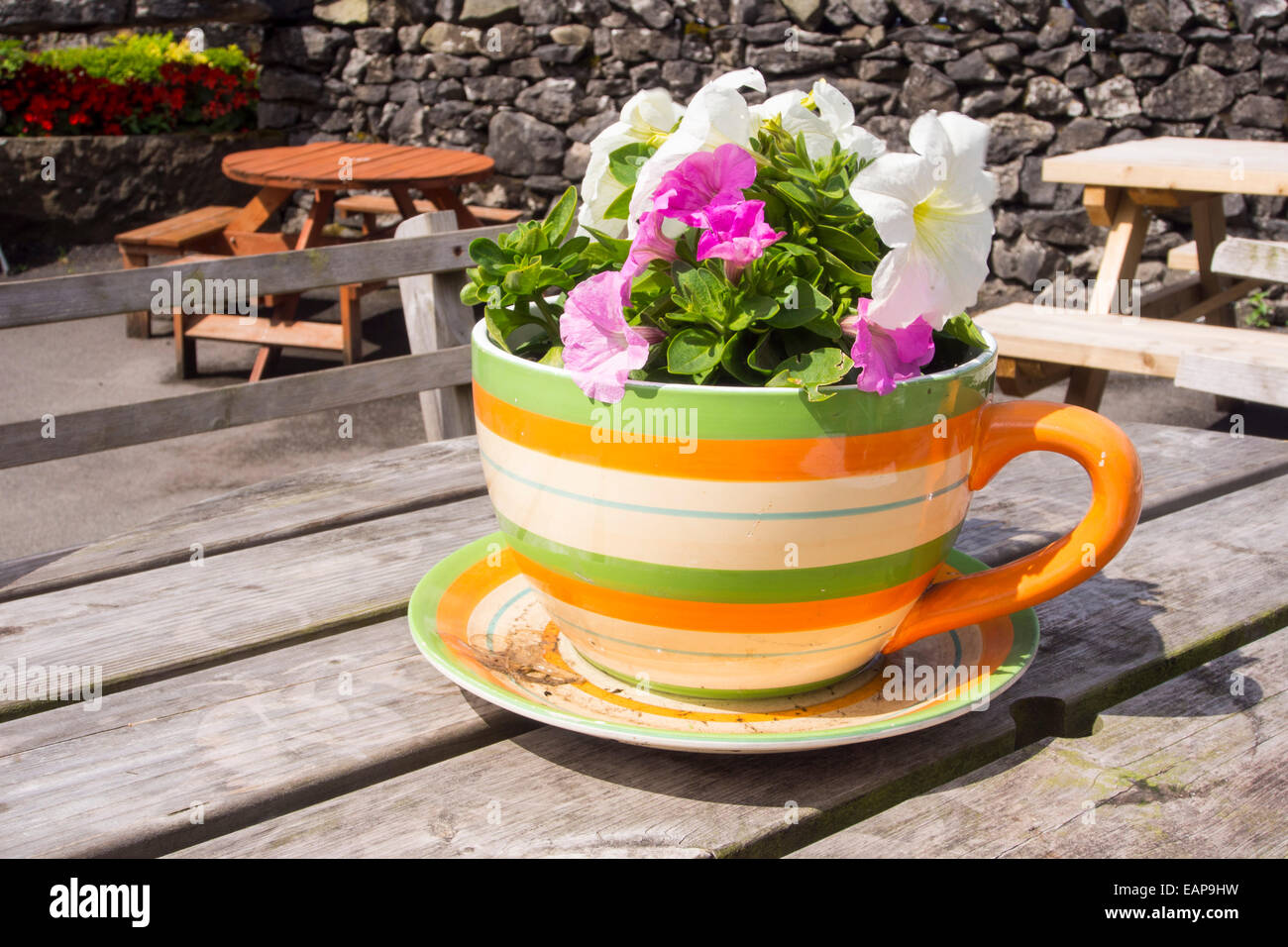 Flowers in a large cup and saucer at a cafe in Feizor, Yorkshire Dales ...