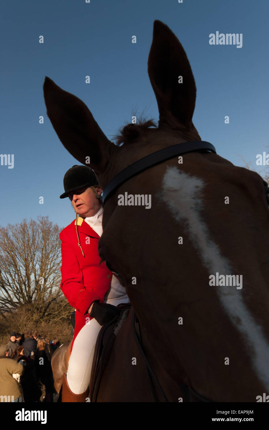 Foxhunters hi-res stock photography and images - Alamy