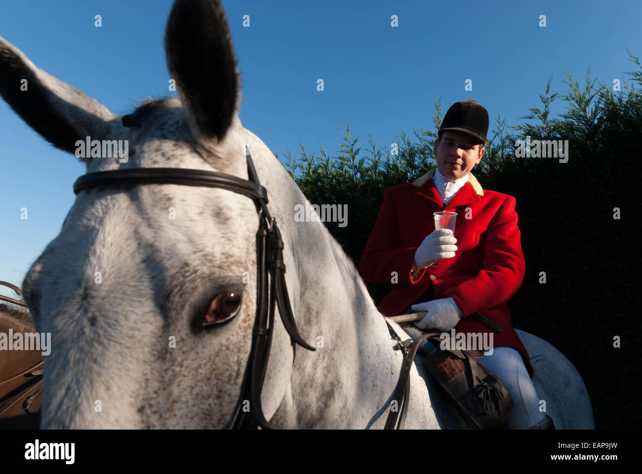 Foxhunters hi-res stock photography and images - Alamy