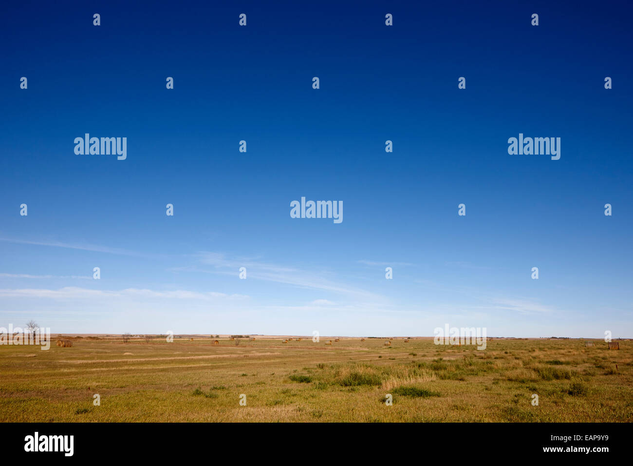 Canadian prairies grassland hi-res stock photography and images - Alamy