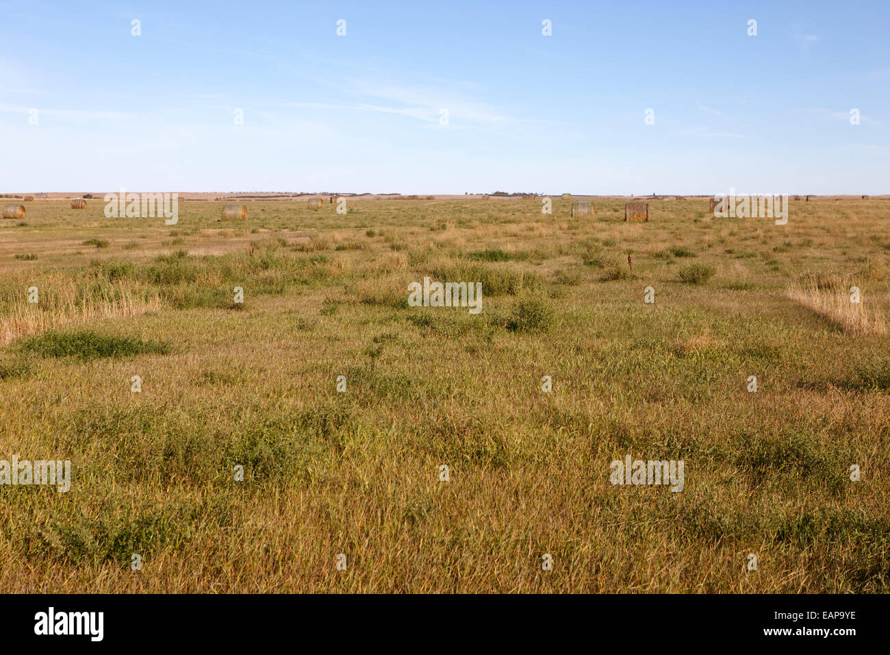 rural prairie grassland open fields bengough Saskatchewan Canada Stock ...