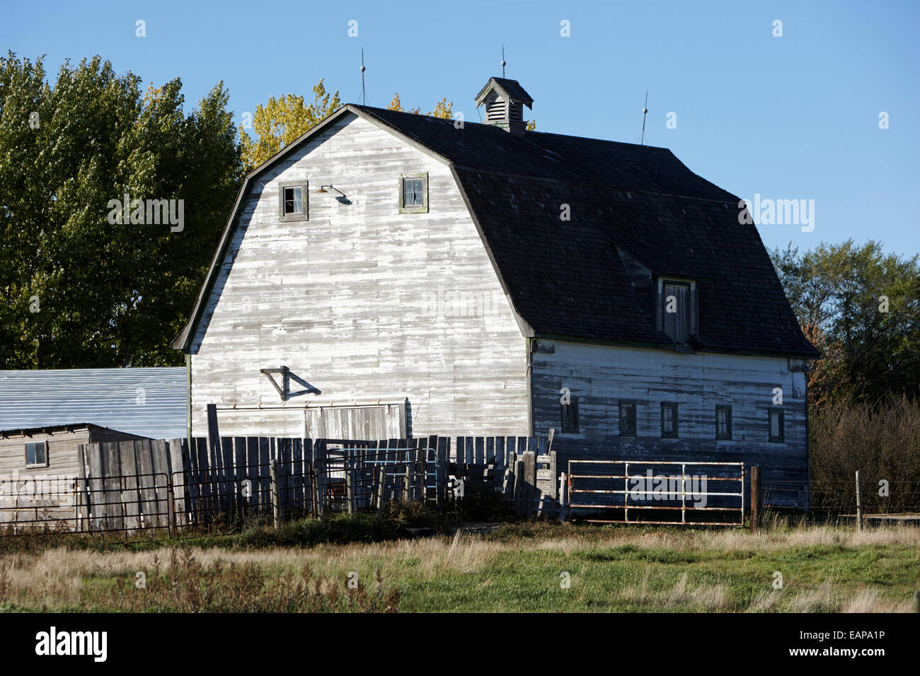 Barn building saskatchewan hi-res stock photography and images - Alamy