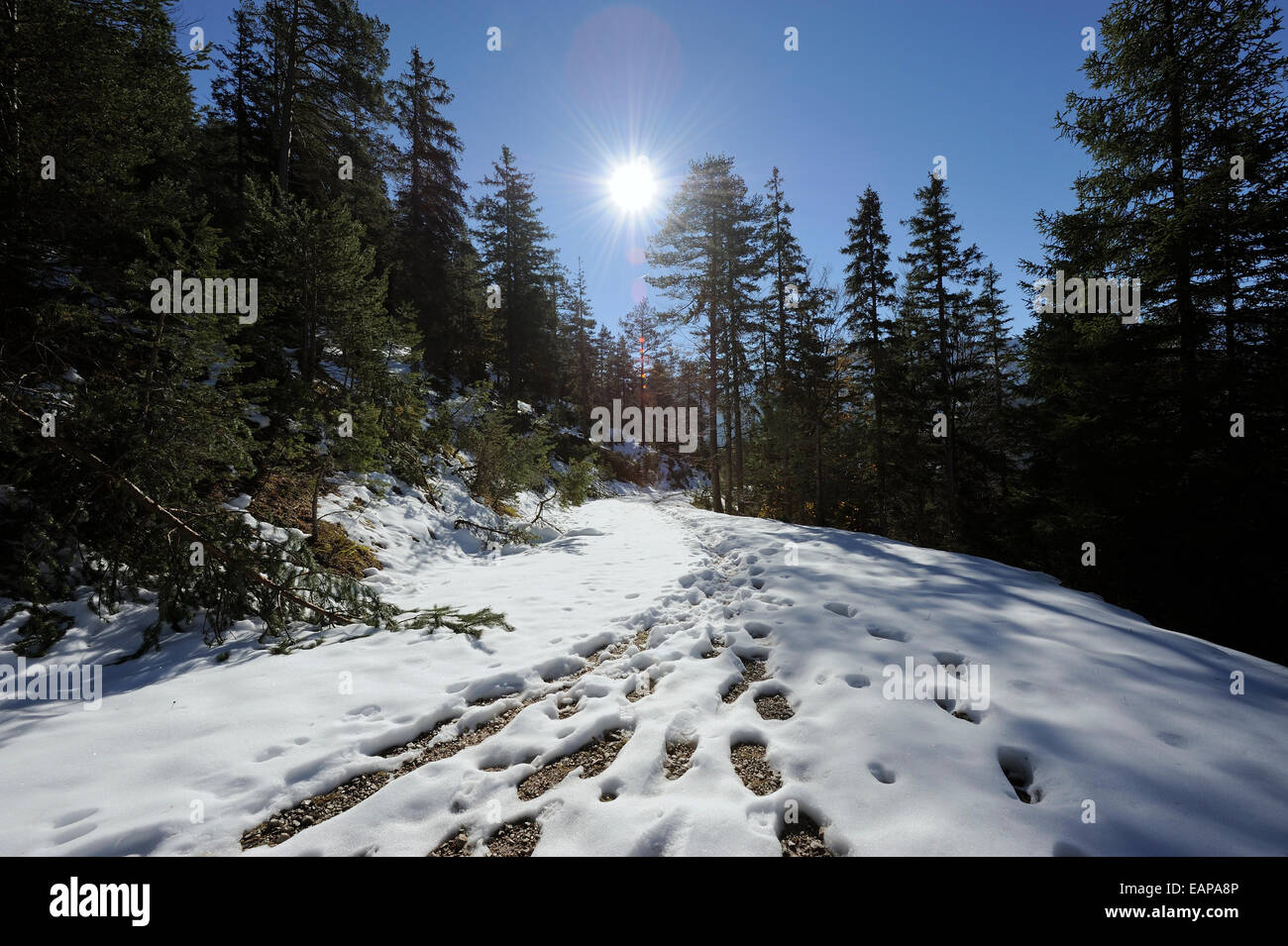 Direct sun hi-res stock photography and images - Alamy