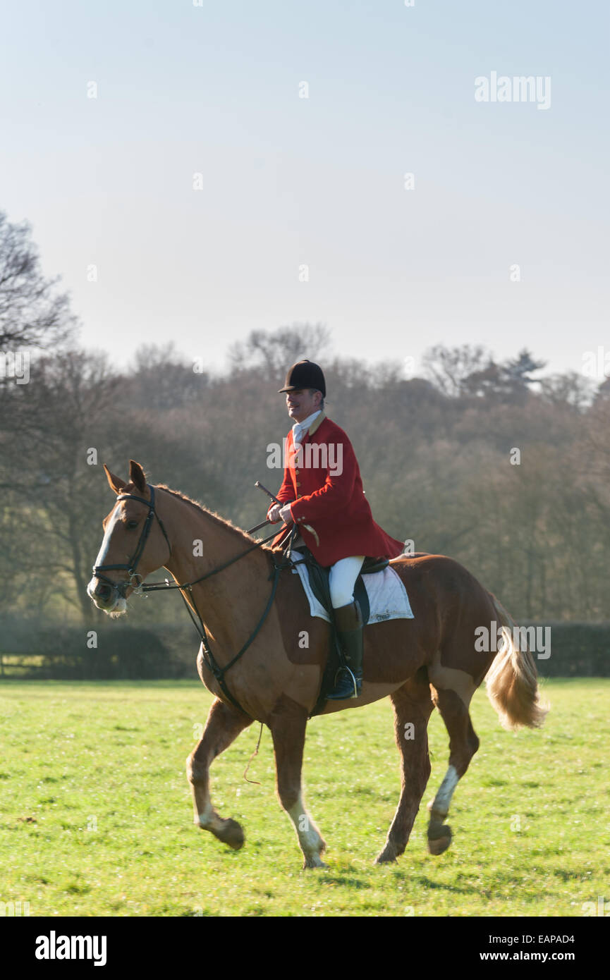 Foxhunters hi-res stock photography and images - Alamy