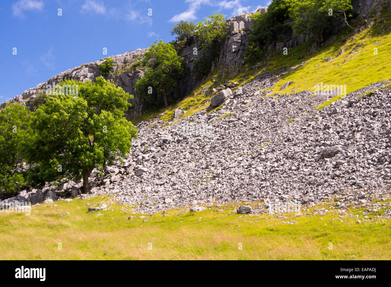 Limestone scree slope hi-res stock photography and images - Alamy