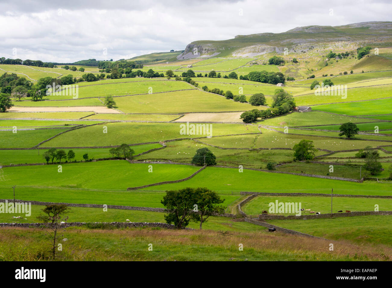 Yorkshire Dales scenery around Austwick, UK Stock Photo - Alamy