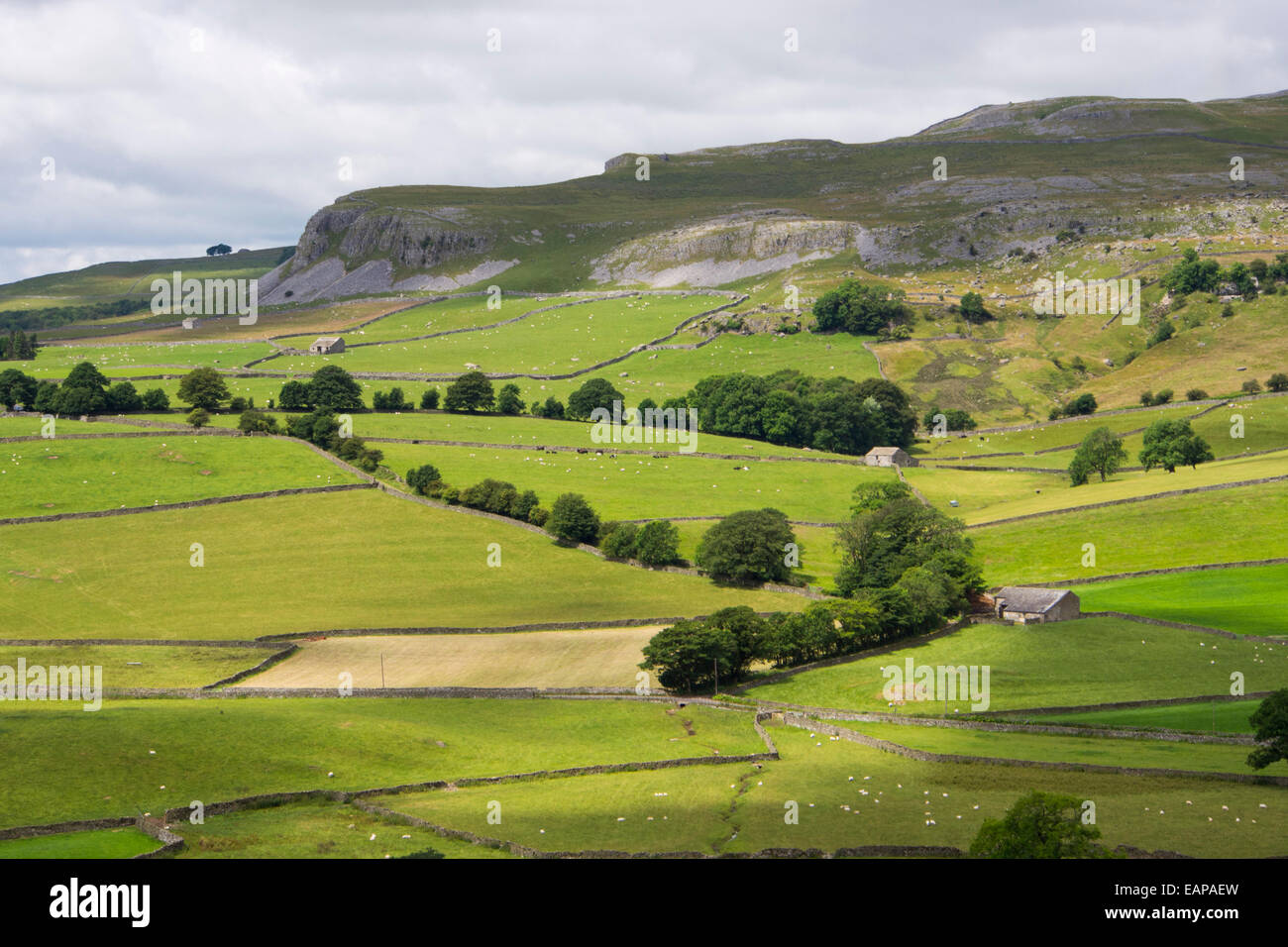 Yorkshire Dales scenery around Austwick, UK Stock Photo - Alamy