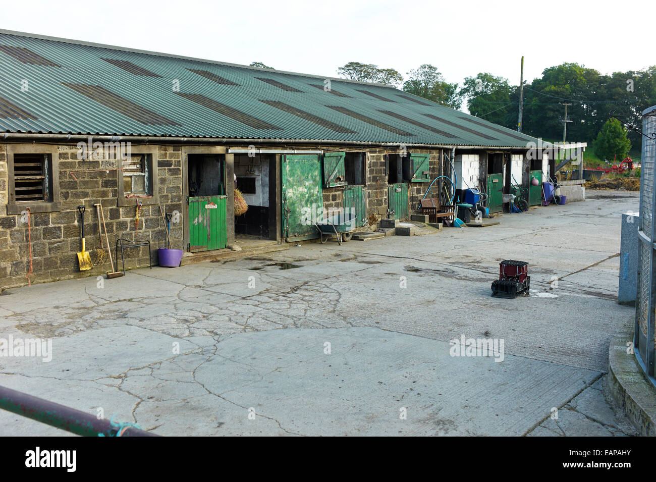 Stable keeping hi-res stock photography and images - Alamy