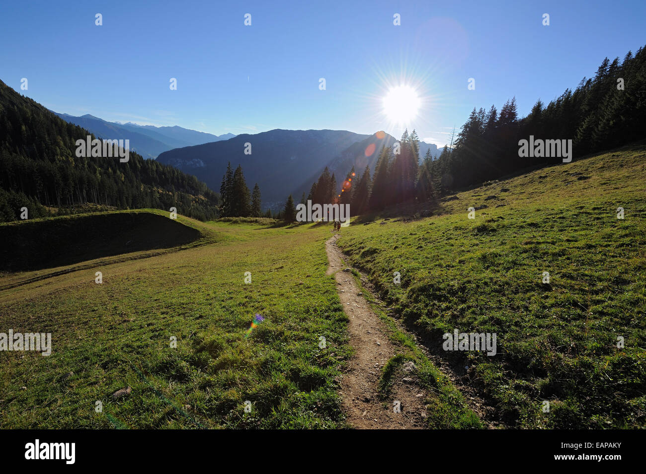 Back light sun hi-res stock photography and images - Alamy