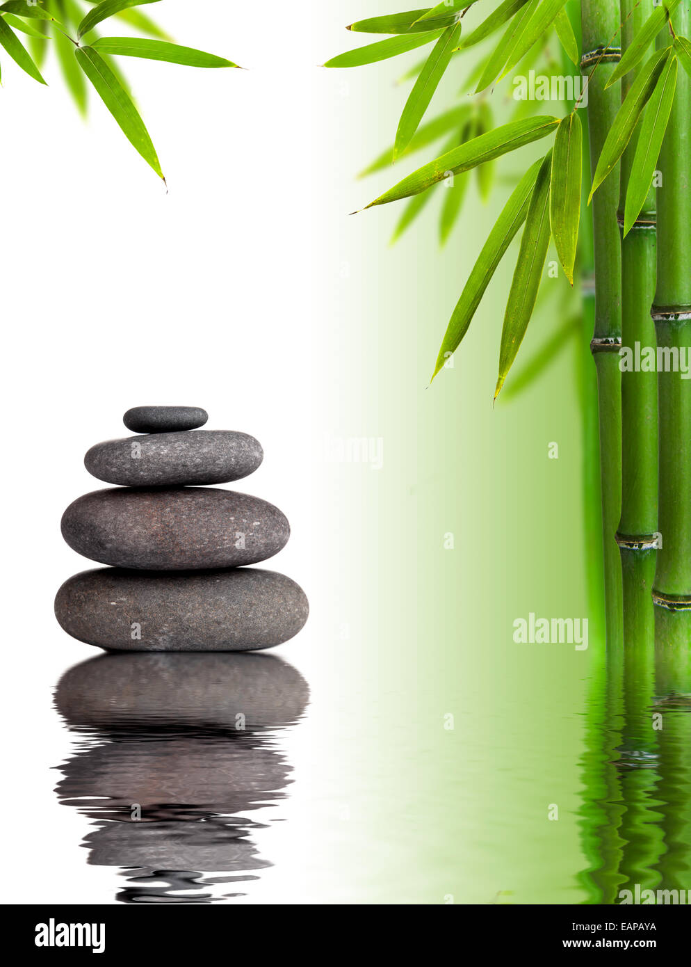 Spa still life with water reflection Stock Photo - Alamy