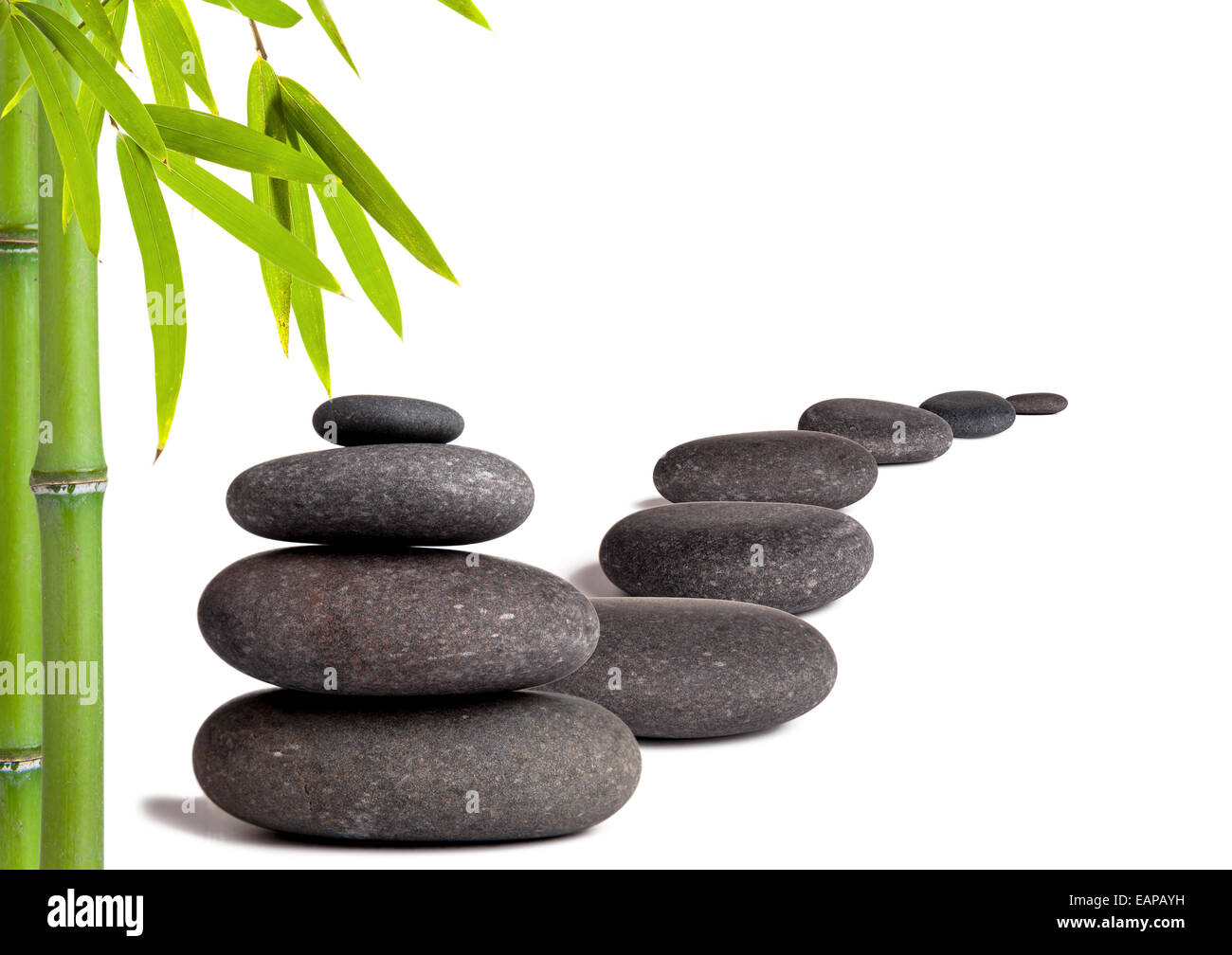 Lava stones with bamboo sprouts, isolated on white background Stock ...