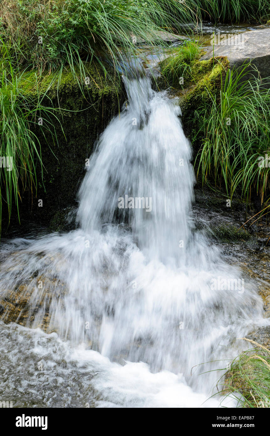 Beautiful waterfall in a environment of greenery and rocks Stock Photo ...
