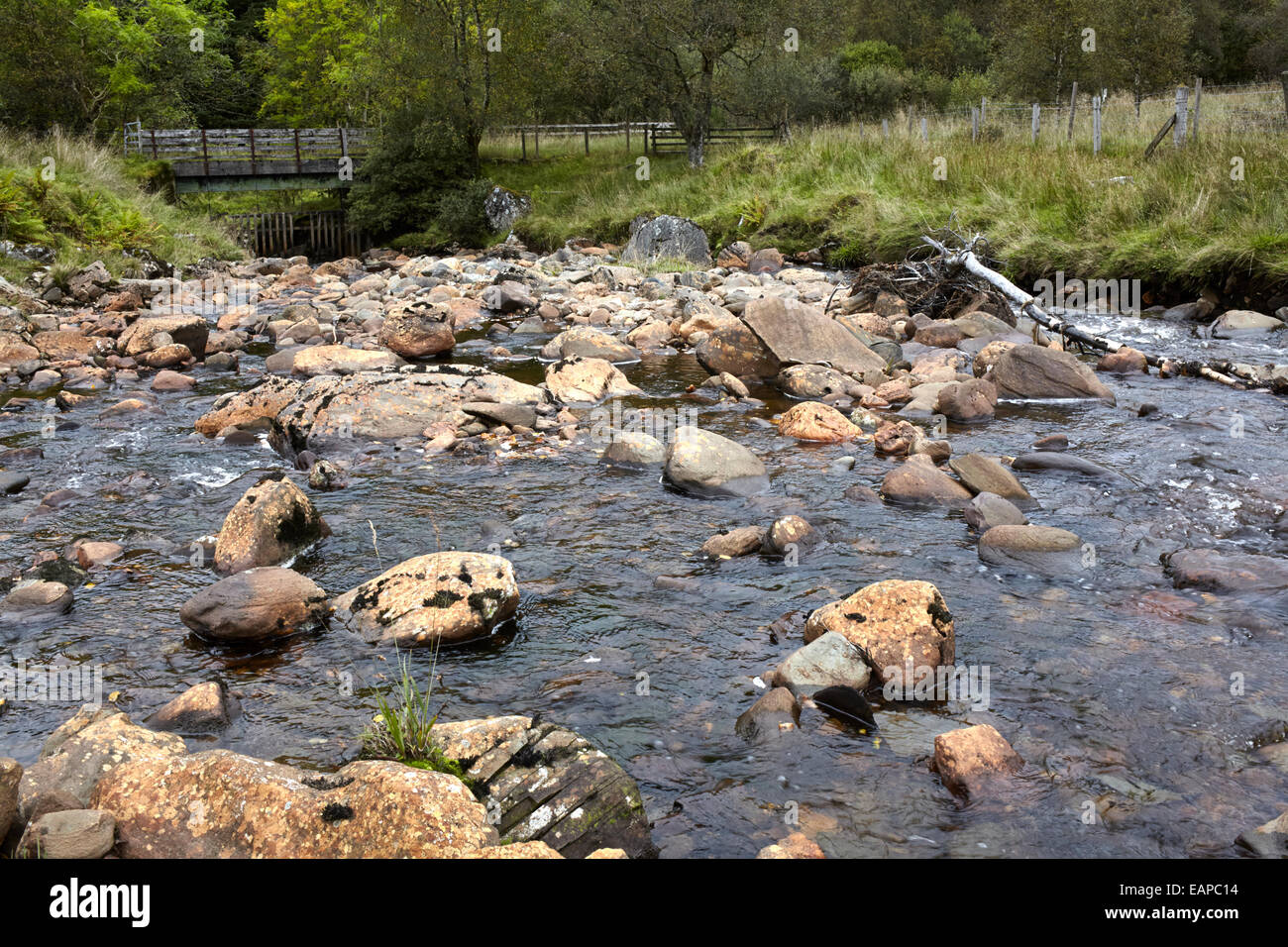 Succoth hi-res stock photography and images - Alamy