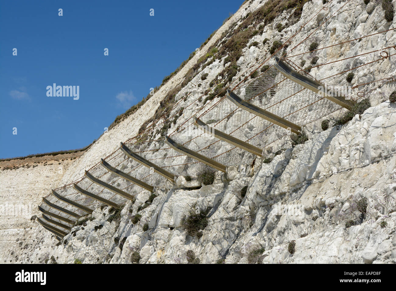 Safety netting on chalk cliffs to catch rock falls near Brighton. East ...