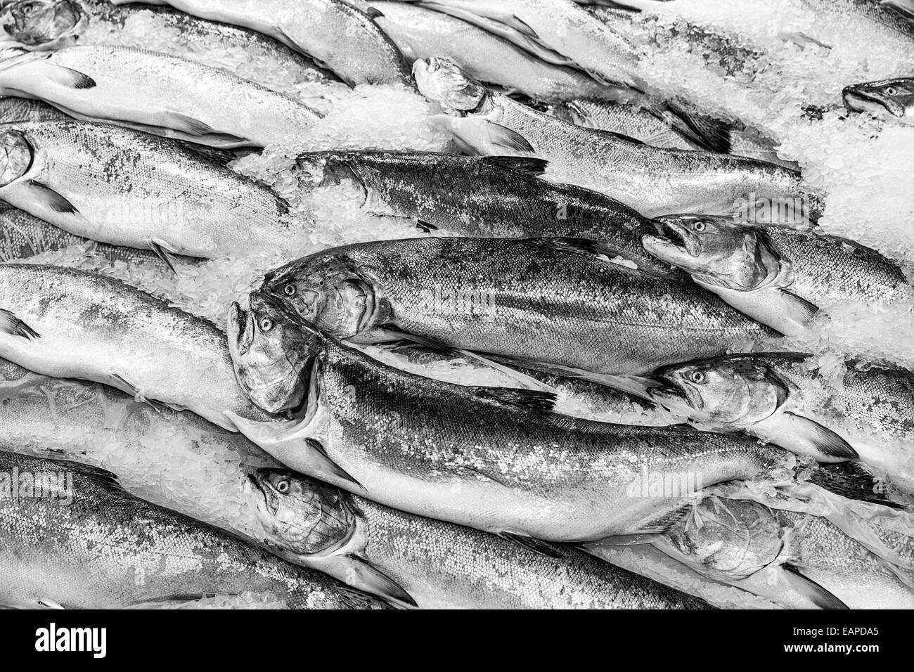 Salmon fish market hi-res stock photography and images - Alamy