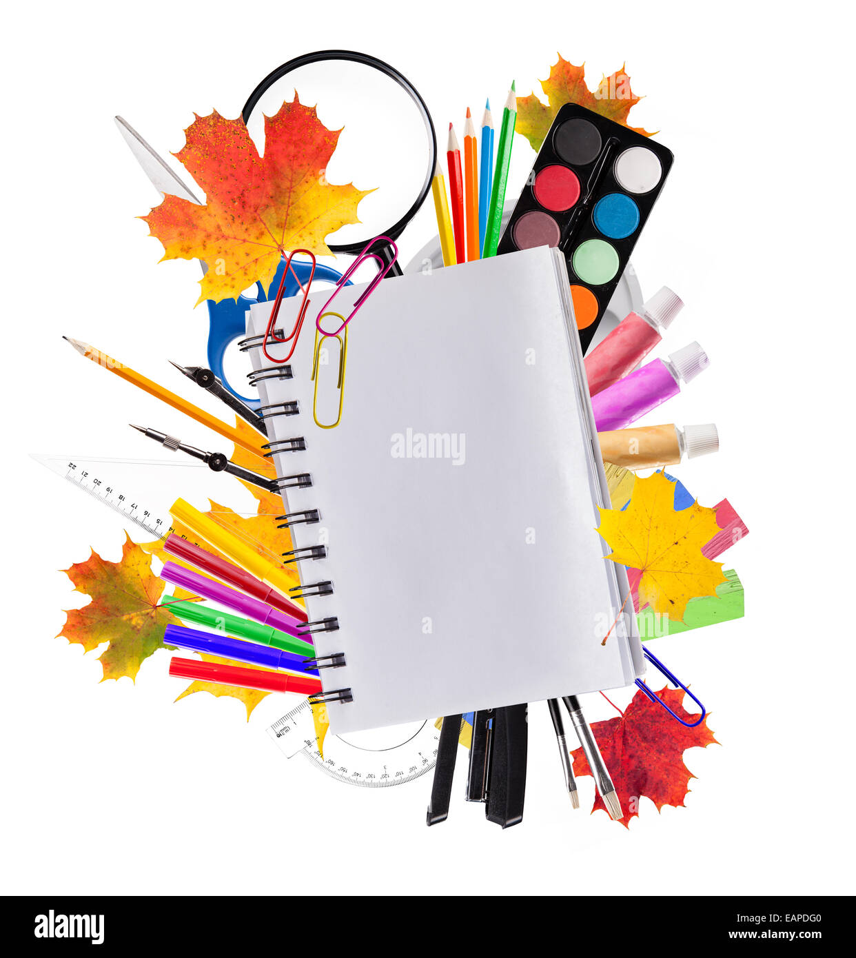 Concept of school tools isolated on white background Stock Photo - Alamy