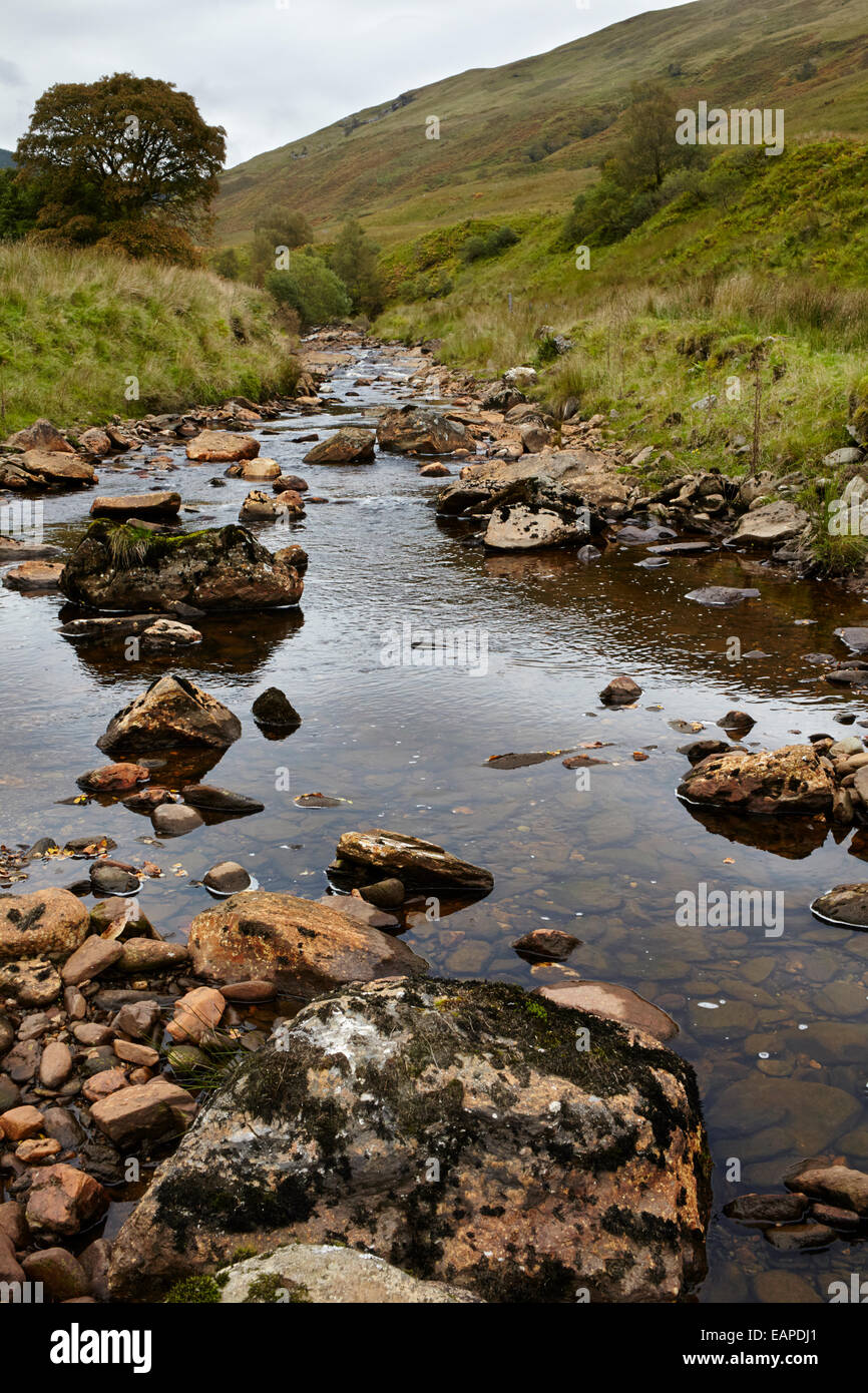 Strachur forest hi-res stock photography and images - Alamy
