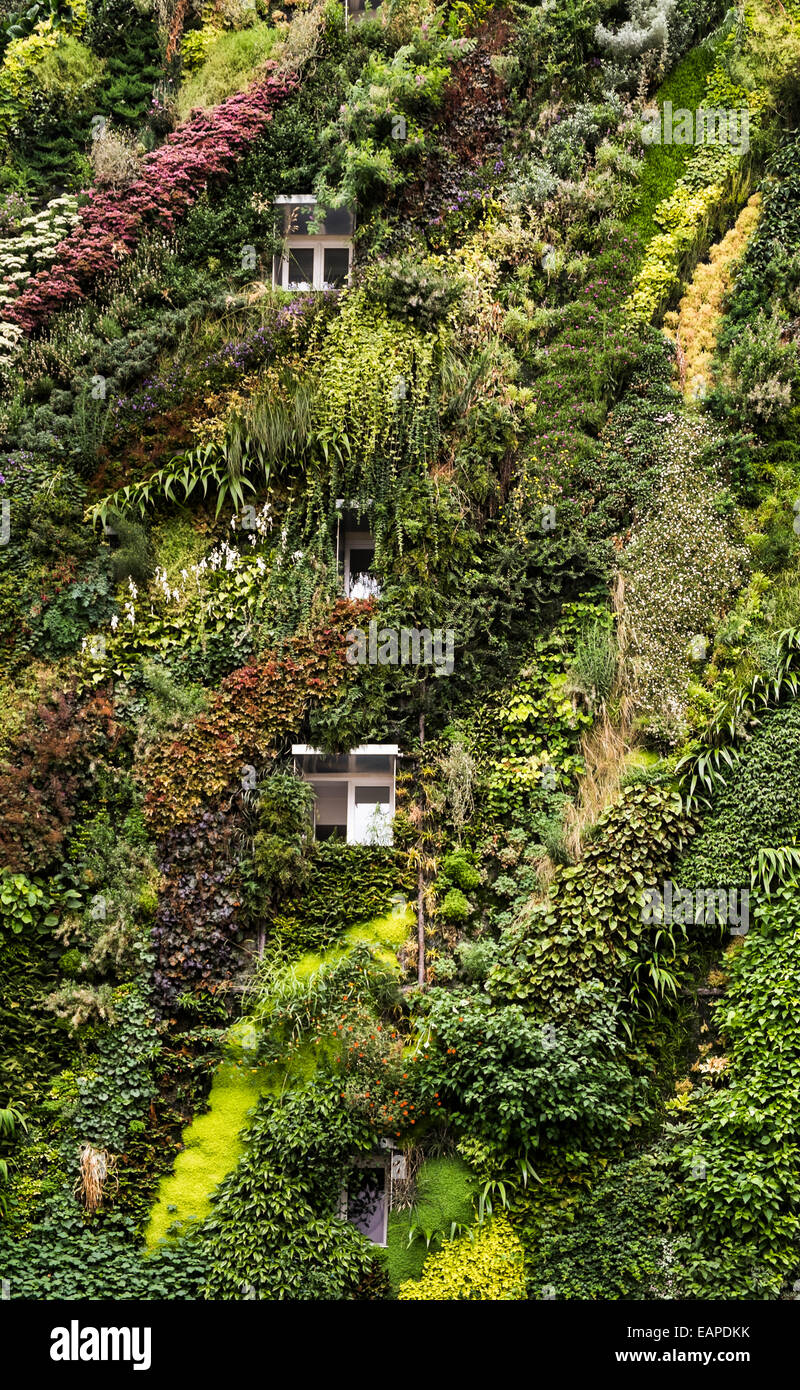 detail of green wall on a building, paris, ile de france, france Stock ...